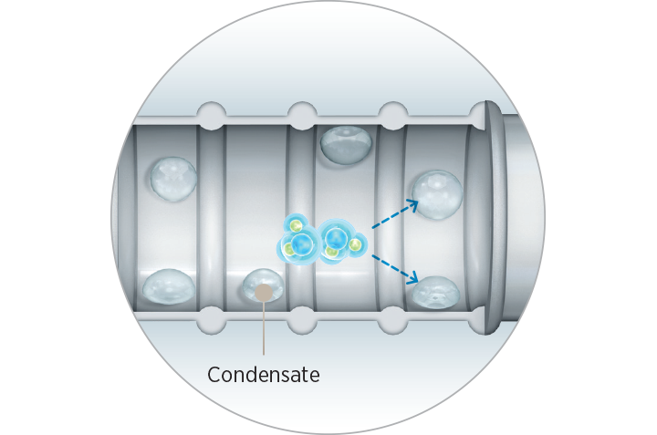 Fisher & Paykel AirSpiral Heated Breathing Tube for MyAirvo - CPAP for Me